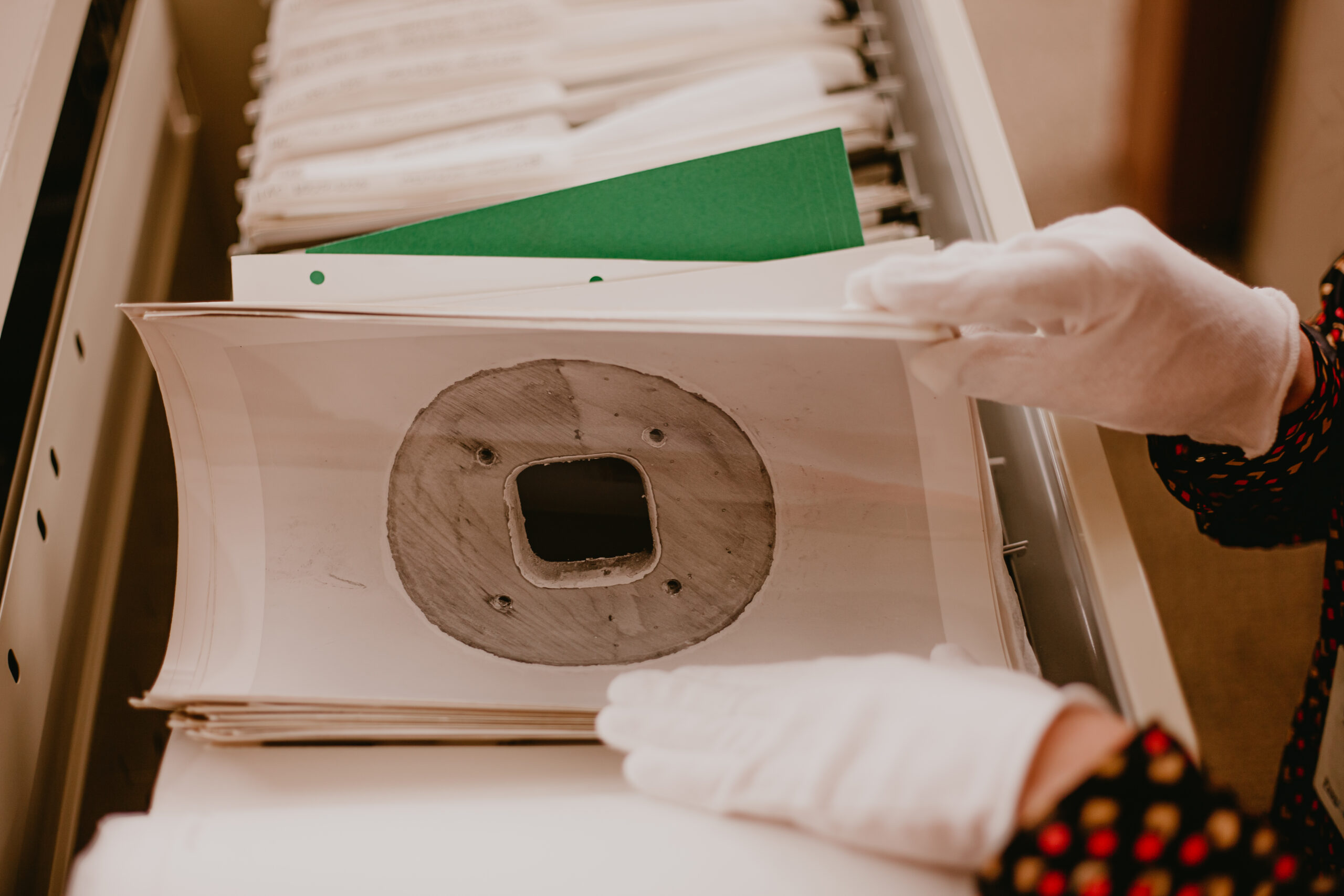 Museum Members Dashboard - Evergreen Museum