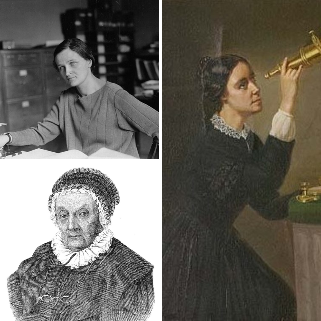 Evergreen Museum Blog - Evergreen Museum